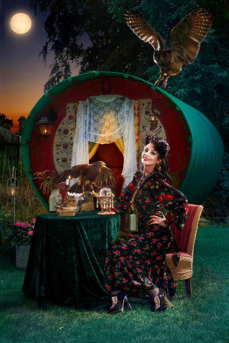 Fortune Teller-with birds of prey – Witches by Helena Garcia